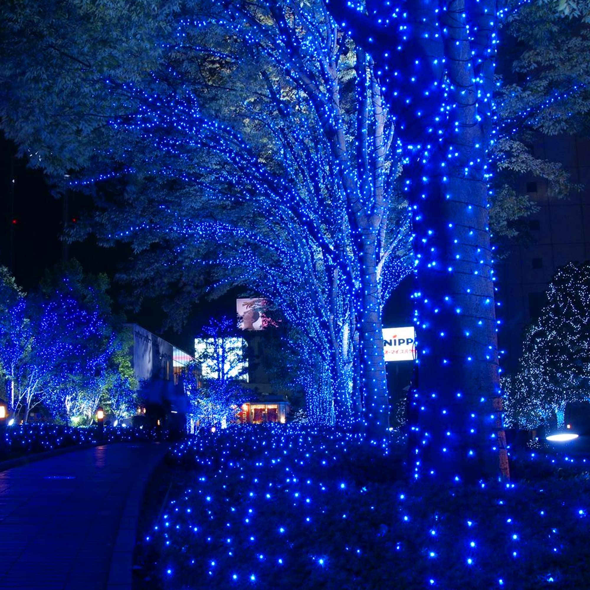 FUNPENY 164FT 500 LED Christmas Indoor Outdoor Decorative String Lights, 8 Modes Waterproof Plug in Green Wire LED Fairy Light for Christmas Party Wedding Garden Home Decoration (Blue)