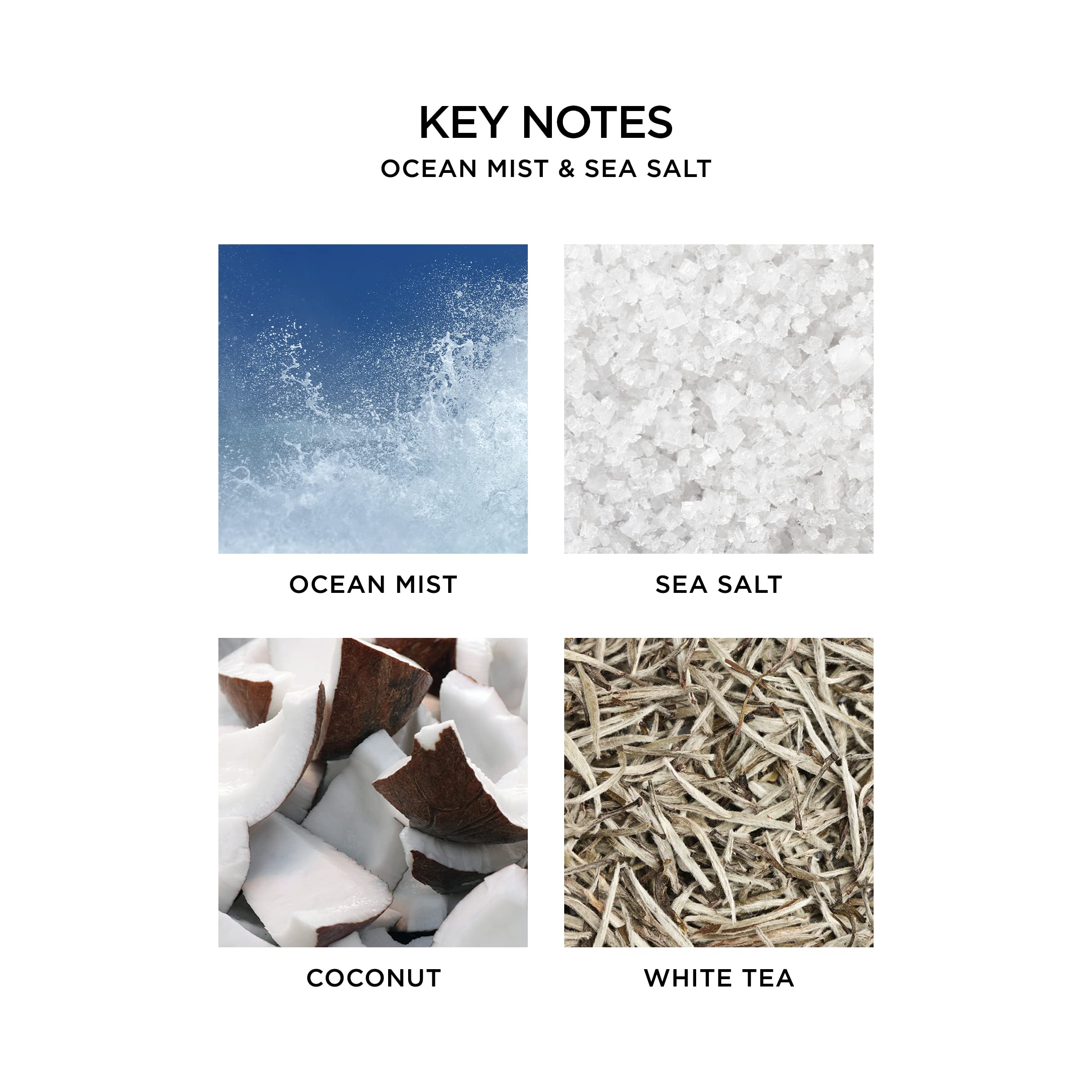 NEST New York Reed Diffuser, Ocean Mist & Sea Salt - 5.9 fl oz - Fragrance for Up to 90 Days - Reusable, Refillable Glass Holder - Includes 8 All-Natural Reed Sticks - Flame Free