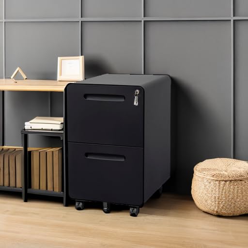 LVSTEEL 2 Drawer Mobile File Cabinet with Lock,Under Desk Metal Filing Cabinet for Home Office fits Legal/Letter,Fully Assembled Except Wheels,Black