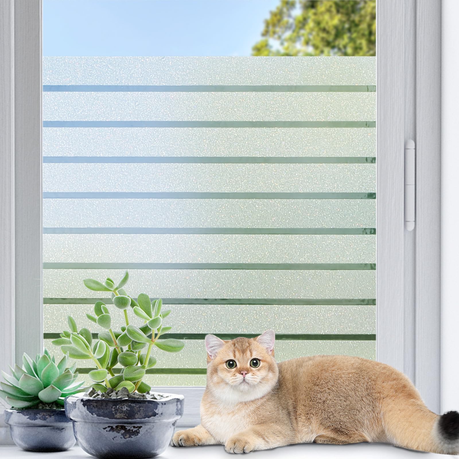 Coavas Window Privacy Film Frosted Glass Window Film Heat Blocking Window Cling Decorative Frosting Film Static Cling Vinyl Door Window Coverings Home Window Tint Blinds, 17.5 x 78.7 inch, Pure