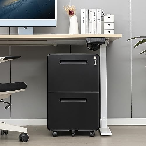 LVSTEEL 2 Drawer Mobile File Cabinet with Lock,Under Desk Metal Filing Cabinet for Home Office fits Legal/Letter,Fully Assembled Except Wheels,Black