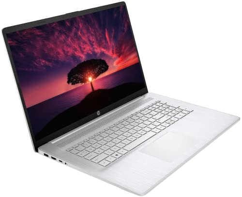 HP 17.3" HD Touchscreen Business Laptop, 12th Gen Intel Core i7-1255U, Windows 10 Pro, 32GB RAM, 1TB SSD, Backlit Keyboard, HDMI, WiFi 6, Webcam, Long Battery Life, Durlyfish