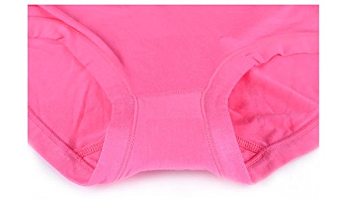 C.X Trendy Women's 8-Pack Cotton Seamless Brief Panty (S, Assorted)