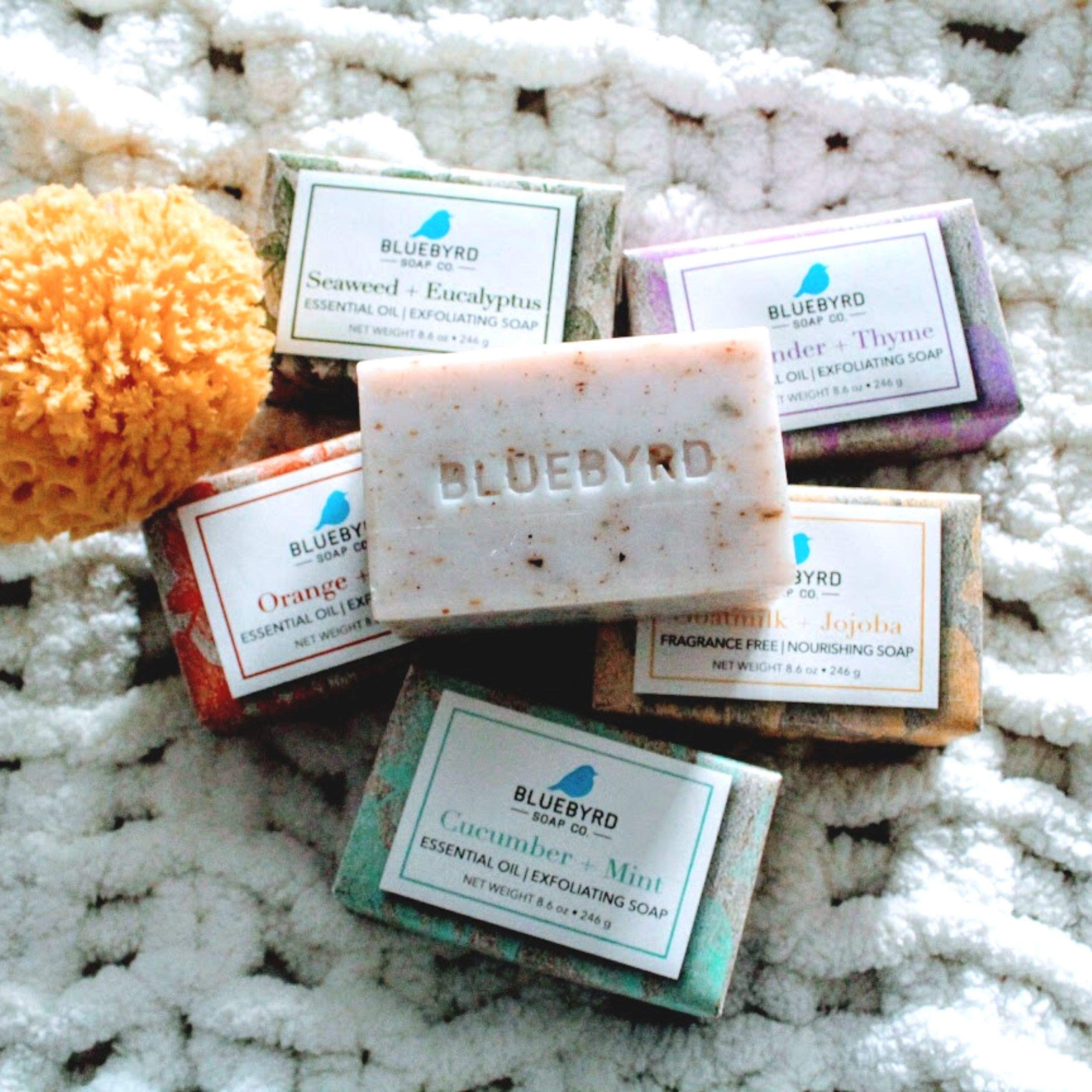 BLUEBYRD Soap Eucalyptus & Seaweed Exfoliating Large Soap Bar, 100% Vegan Cold Press Scented w/Essential Oils, Body Soap Scrub for Men & Women, Natural Oatmeal, Shea Butter, Olive Oil, 8.6oz