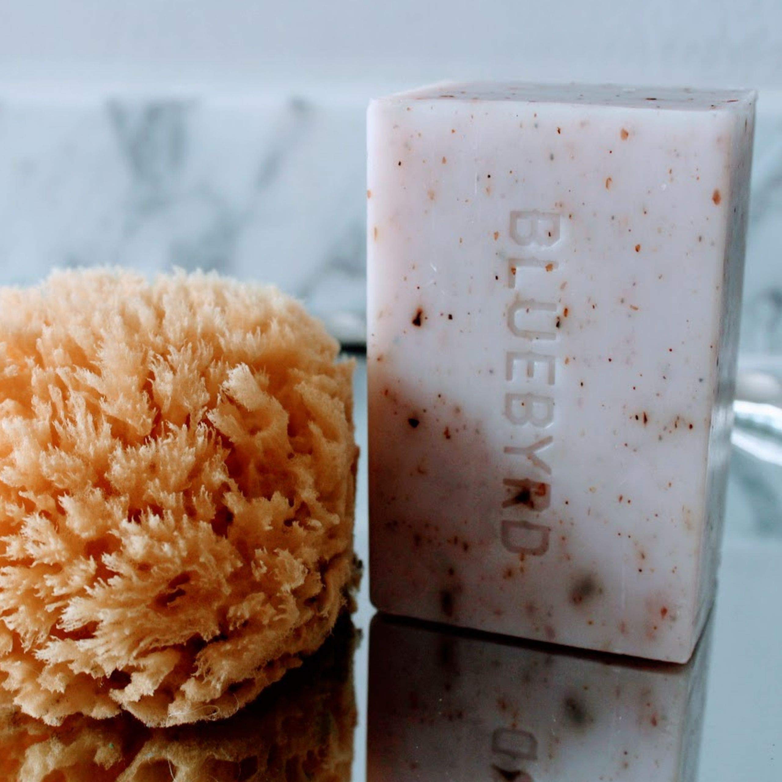 BLUEBYRD Soap Eucalyptus & Seaweed Exfoliating Large Soap Bar, 100% Vegan Cold Press Scented w/Essential Oils, Body Soap Scrub for Men & Women, Natural Oatmeal, Shea Butter, Olive Oil, 8.6oz