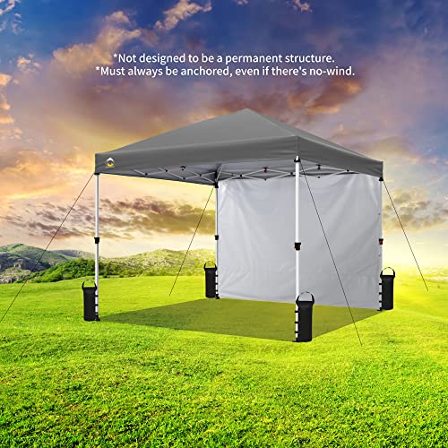 CROWN SHADES Pop Up Canopy Tent 10X10 Commercial Instant Canopy Tent Outdoor (10x10, Grey)