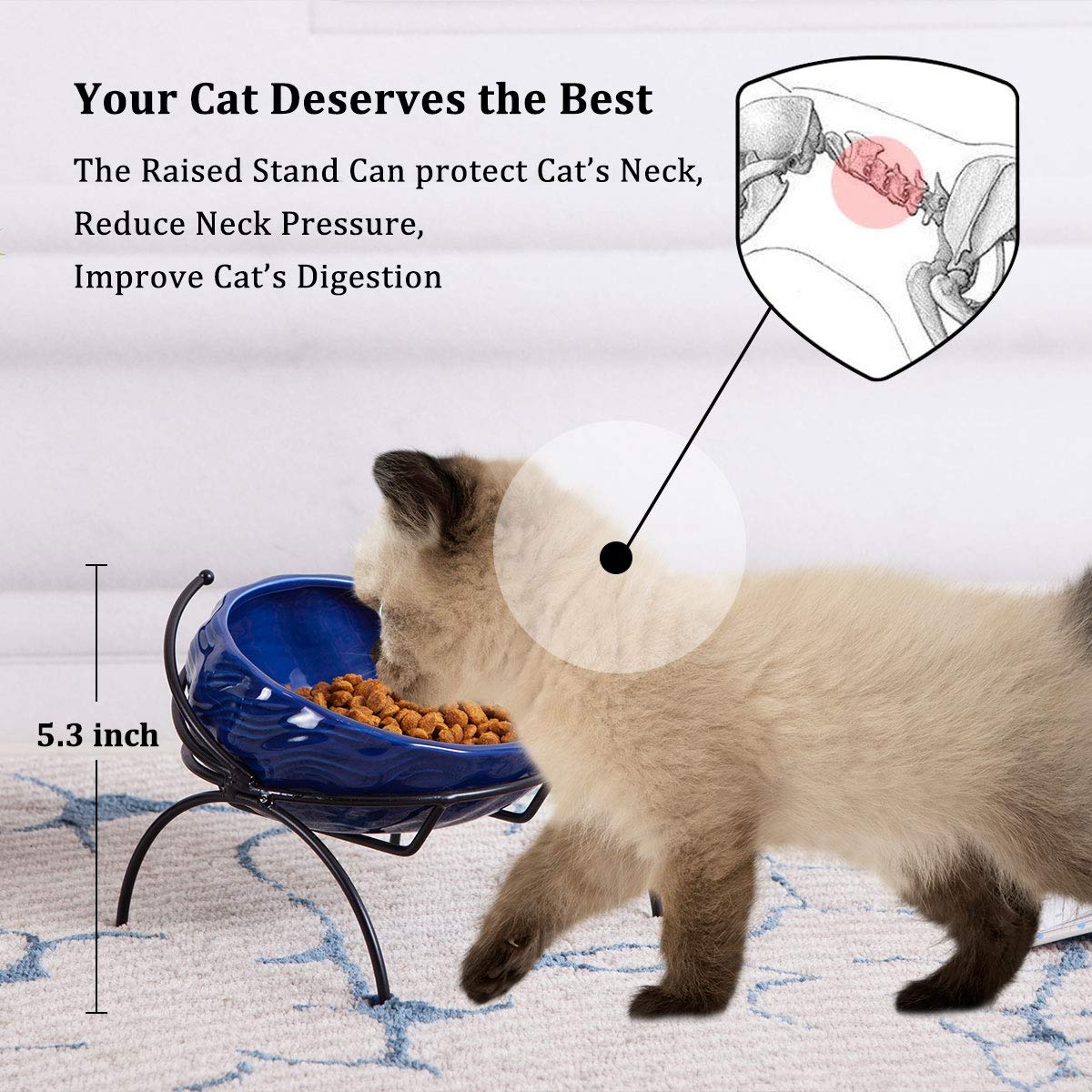 Jemirry Ceramic Elevated Cat Bowl Anti Vomiting, 15° Tilted Food and Water Cat Bowl Set, Raised Pet Bowl with Non-Slip Stand for Cat and Dog, Protect Pet's Spine, Microwave Dishwasher Safe (Sea Blue)