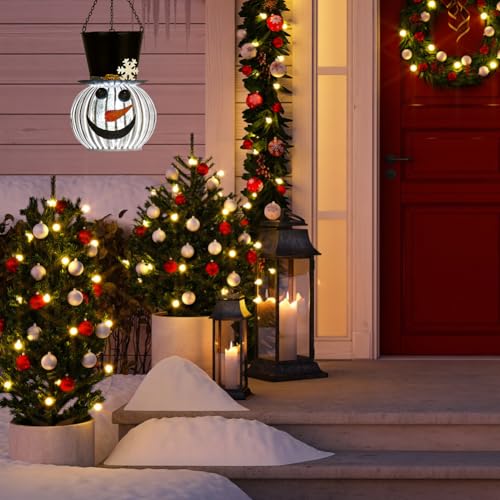 dreamskip Halloween Solar Lights Outdoor, 2 Pack Solar Powered Halloween Decorations, Pumpkin and Eyeball Halloween Pathway Stake Lights for Outside Yard Porch Lawn Garden (DR-YF47062811-FBA)