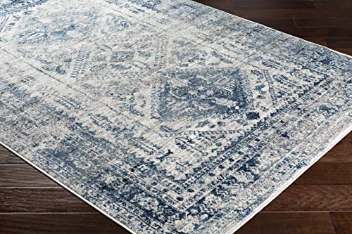 Artistic Weavers Desta Vintage Oriental Area Rug,6'7" x 9',Blue/White