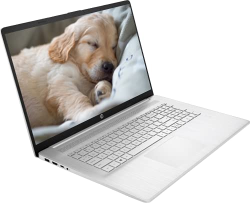 HP 17.3'' FHD IPS Display Business Laptop, AMD Ryzen 5 5500U Processor, Windows 10 Pro, 16GB RAM, 512GB SSD, Wi-Fi, Bluetooth, Webcam, Fingerprint Reader, Natural Silver