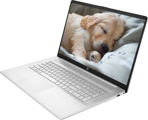 HP 17.3'' FHD IPS Display Business Laptop, AMD Ryzen 5 5500U Processor, Windows 10 Pro, 16GB RAM, 512GB SSD, Wi-Fi, Bluetooth, Webcam, Fingerprint Reader, Natural Silver