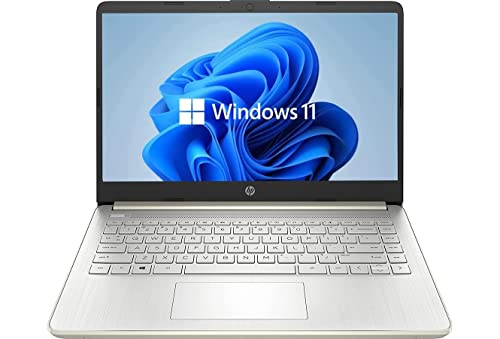 Newest HP 14" Flagship Laptop, Windows 11 OS, AMD Dual-Core Processor Up to 2.60 GHz, 4GB RAM, 64GB SSD, Webcam, Silver (Renewed)