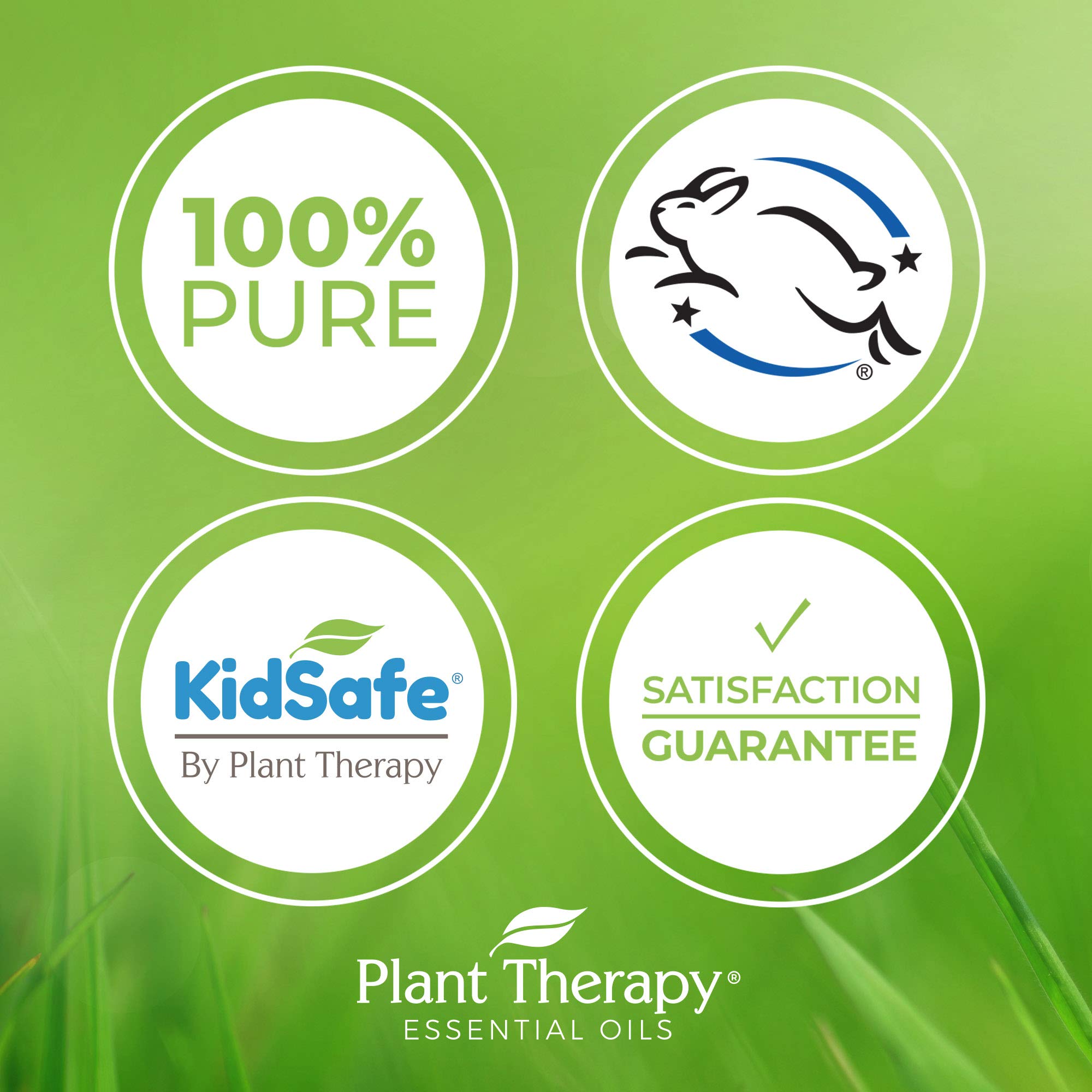 Plant Therapy Invigor Aid Essential Oil Blend 10 mL (1/3 oz) 100% Pure, Undiluted, Therapeutic Grade