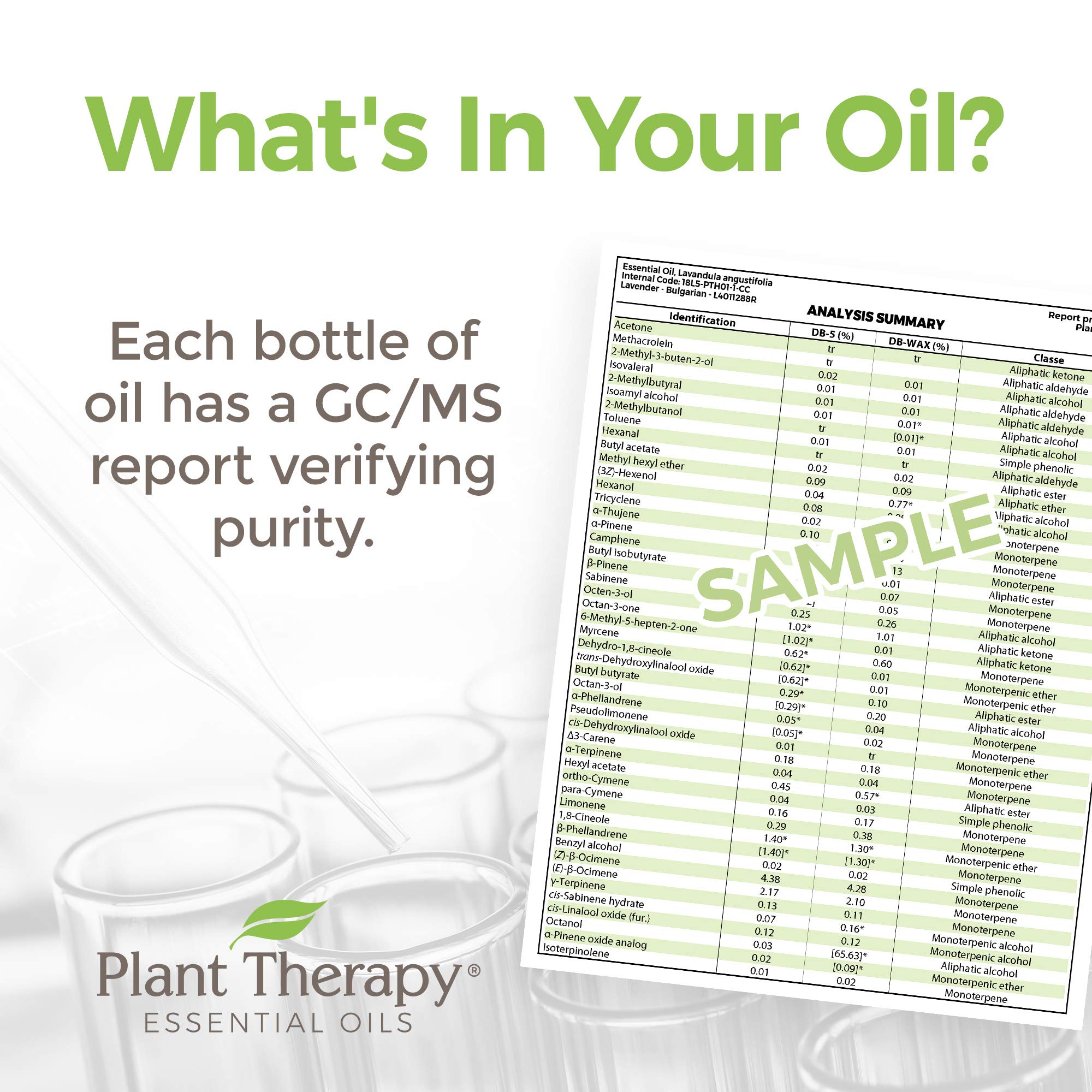 Plant Therapy Invigor Aid Essential Oil Blend 10 mL (1/3 oz) 100% Pure, Undiluted, Therapeutic Grade
