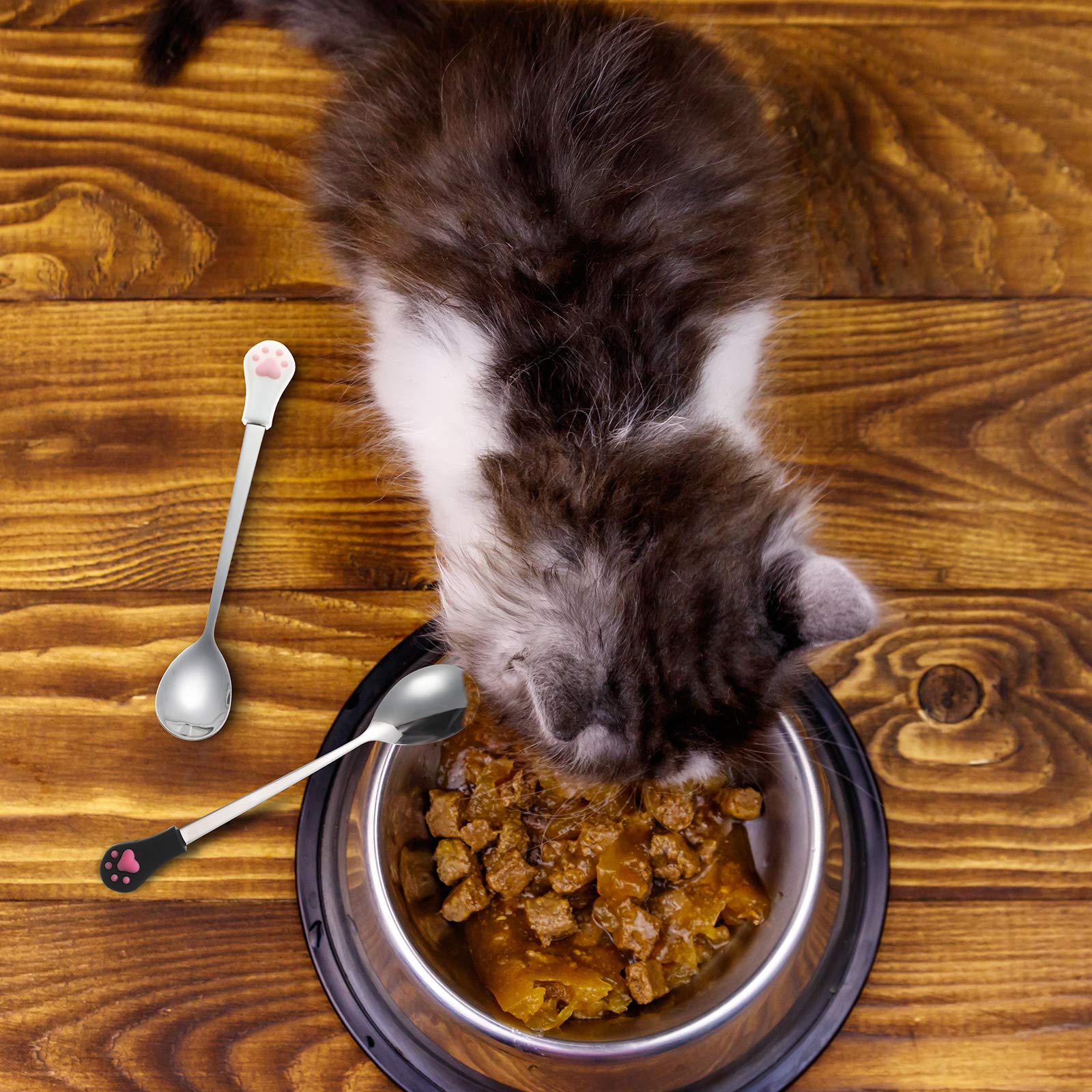 6 Pieces Dog Cat Can Food Spoon Pet Stainless Steel Food Spoon with Cute Cat Claw Silicone Handle (White, Black, Orange)