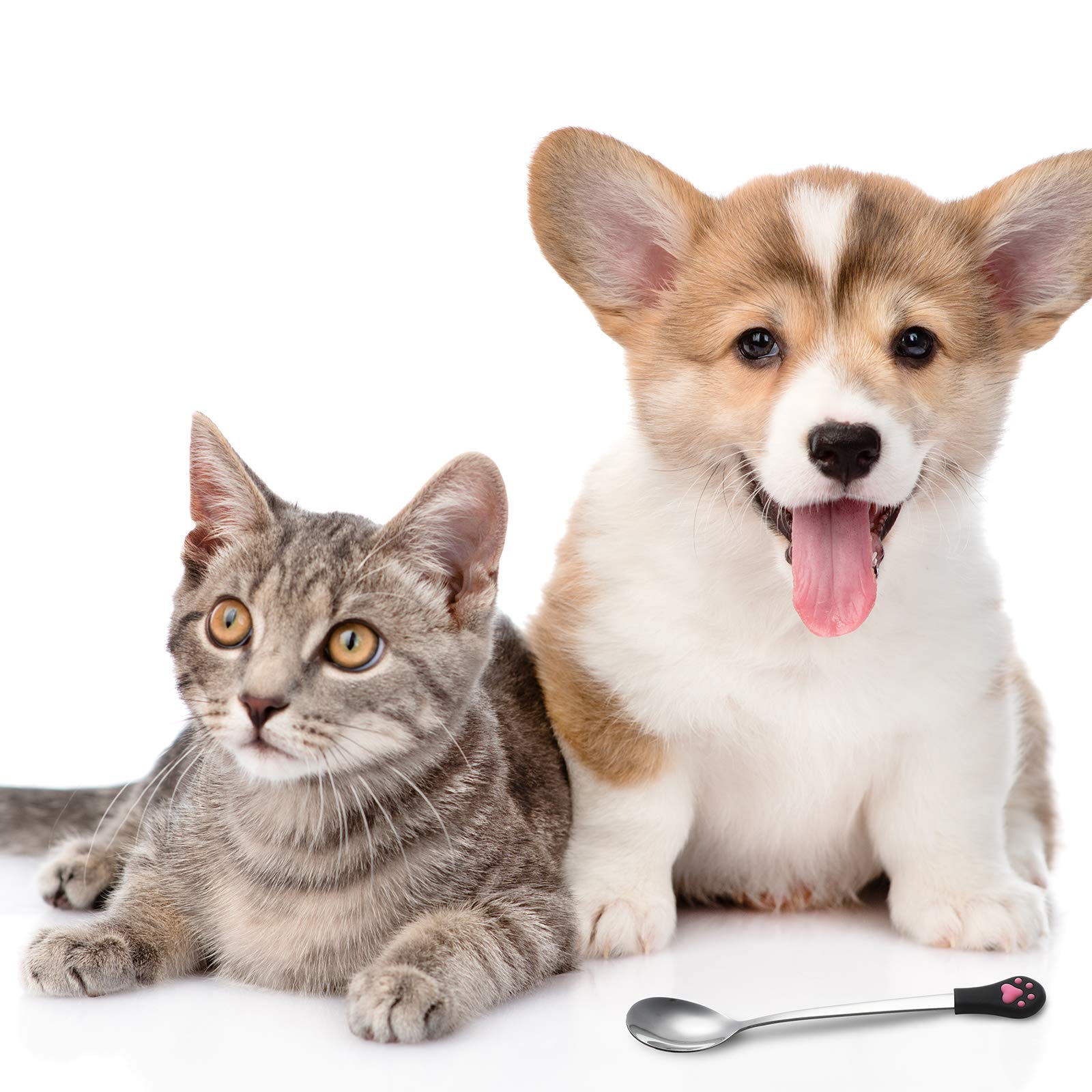 6 Pieces Dog Cat Can Food Spoon Pet Stainless Steel Food Spoon with Cute Cat Claw Silicone Handle (White, Black, Orange)