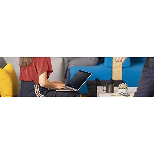 HP ProBook 455 G8 15.6" Notebook - AMD Ryzen 5 5600U Hexa-core (6 Core) 2.30GHz - 8GB RAM - 256GB SSD - Windows 10 Pro - AMD Radeon Vega Graphics