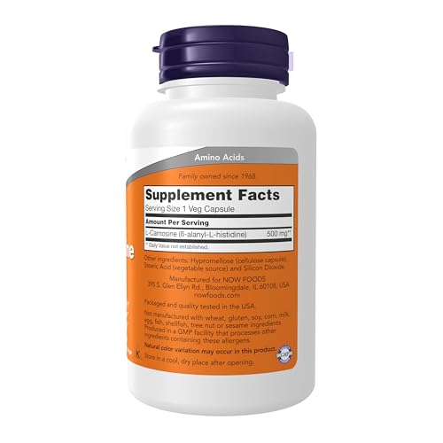 NOW Foods Supplements, L-Carnosine (Beta-Alanyl-L-Histidine) 500 mg, Healthy Aging, 100 Veg Capsules