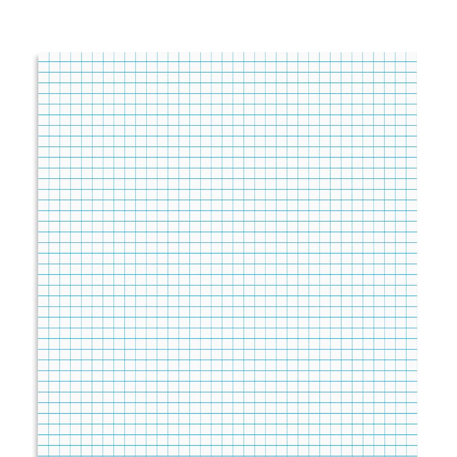 Staples 814566 Graph Pad 11-Inch X 17-Inch Graph White 50 Sheets/Pad (18586)