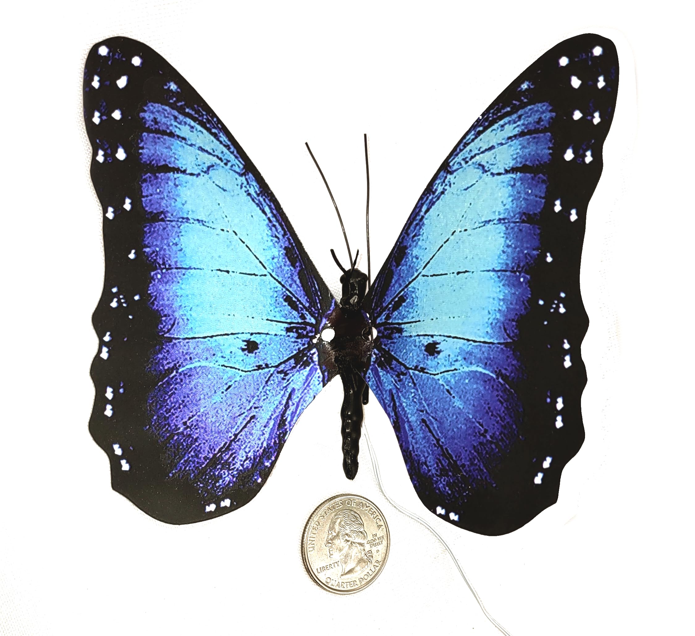 Flexinol Moving Butterfly (Blue Morpho)