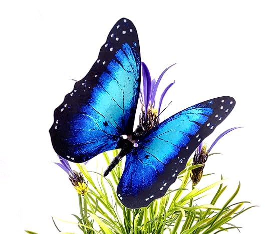 Flexinol Moving Butterfly (Blue Morpho)