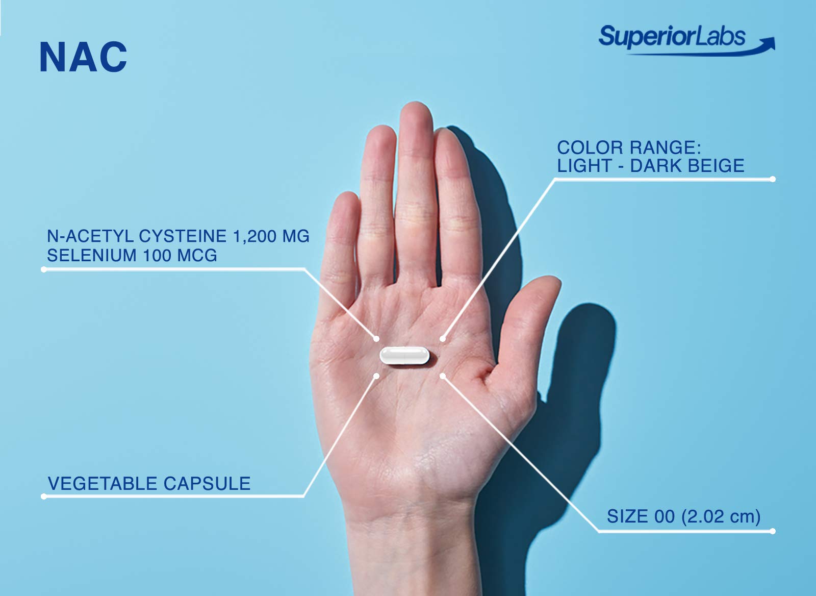 Superior Labs - NAC (N-Acetyl Cysteine) - Dietary Supplement with Selenium - 1,200mg, 150 vegetable capsules - Free Radical Protection - Normal Immune System Function - Maintains Cellular Health