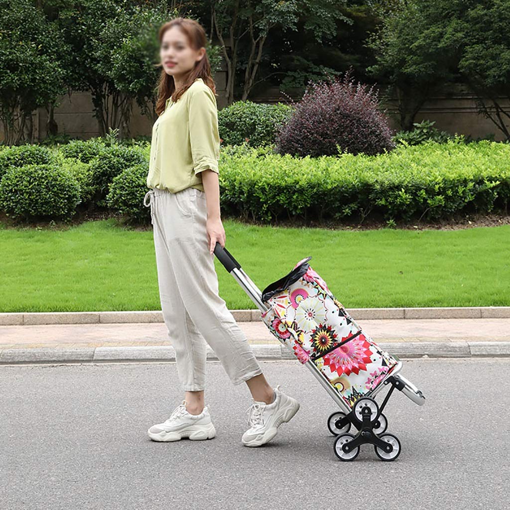 SH-gwtc Shopping Trolley,Foldable Shopping Cart Six Wheels Climbing Trolly/Aluminum Alloy/Waterproof Shopping Bag (Color : A)