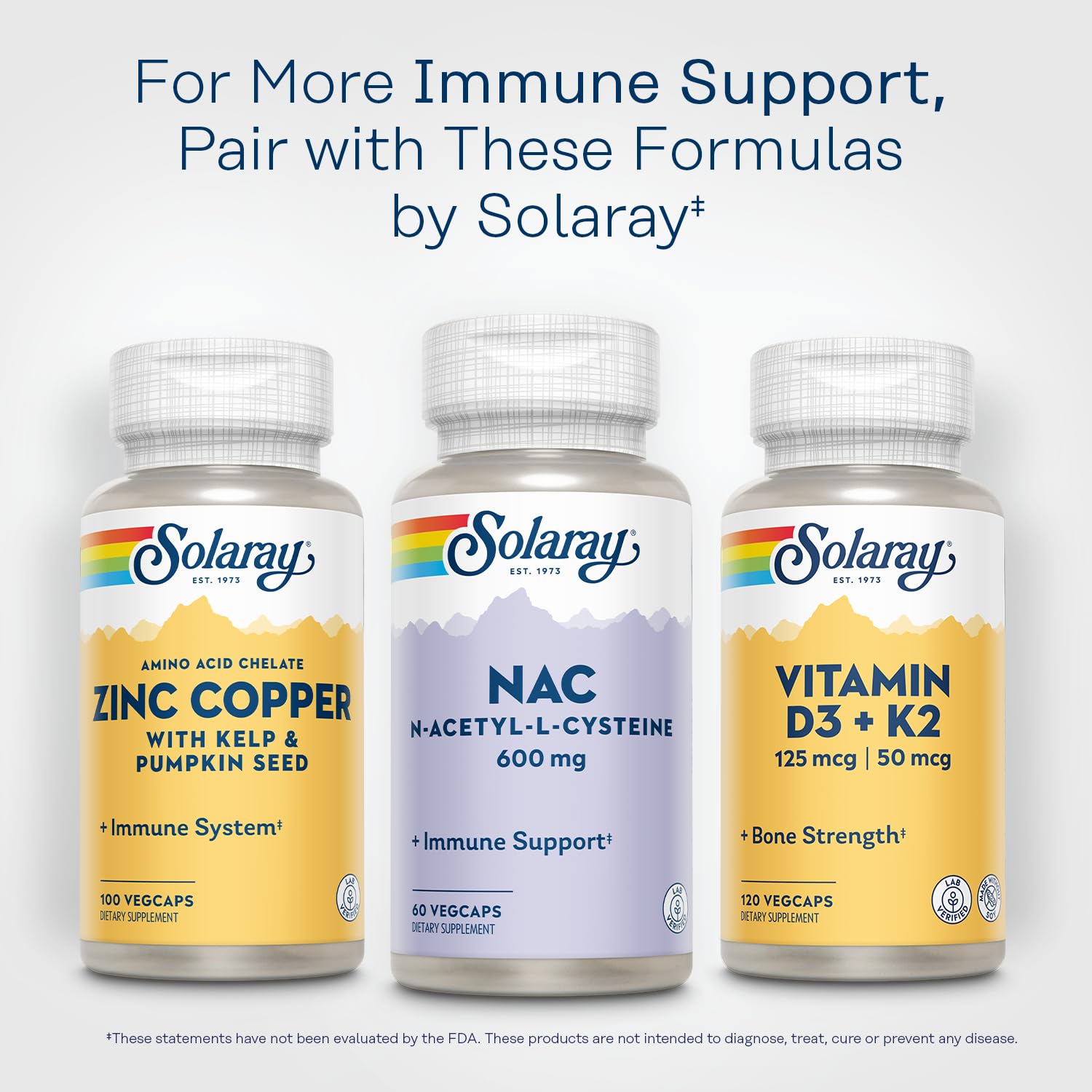 SOLARAY NAC Supplement - N Acetyl Cysteine 600 mg - Precursor to Glutathione Supplement - Immune Support Supplement - Lab Verified, 60-Day Guarantee - 60 Servings, 60 VegCaps