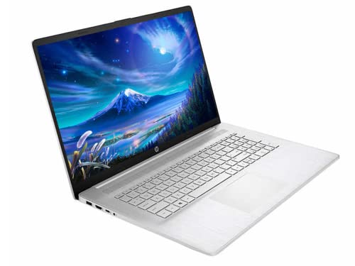 HP 17 Business Laptop Computer, 17.3" HD Touchscreen, AMD Ryzen 5 5500U up to 4.0GHz (Beat i5-10500H), Windows 10 Pro, 12GB RAM, 512GB SSD, WiFi, Bluetooth 5.0, Webcam, Tech Deal USB