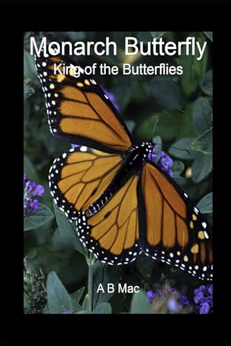 Monarch Butterfly King of the Butterflies