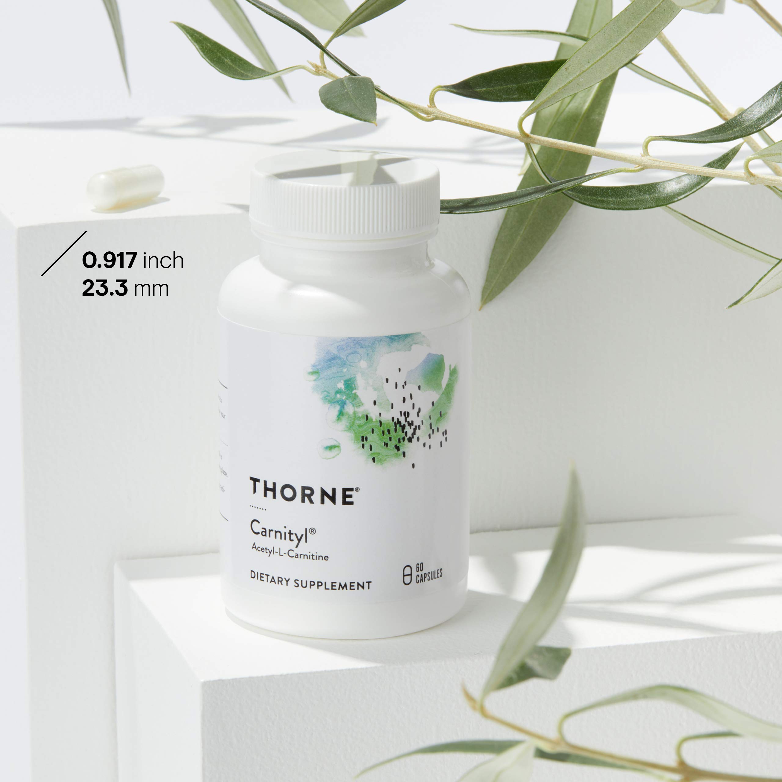THORNE Acetyl-L-Carnitine - 500 mg - Supports Brain Function & Healthy Nerve Sensations in The Hands & Feet - Gluten, Dairy & Soy-Free - 60 Capsules
