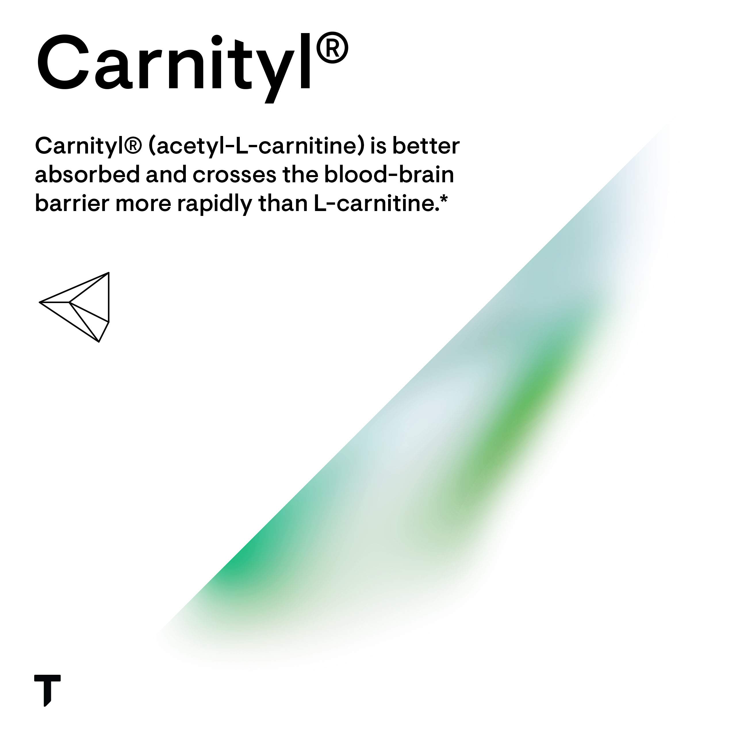 THORNE Acetyl-L-Carnitine - 500 mg - Supports Brain Function & Healthy Nerve Sensations in The Hands & Feet - Gluten, Dairy & Soy-Free - 60 Capsules