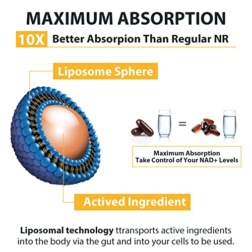 Orgabay Liposomal Nicotinamide Riboside 2000 MG with TMG and Pterostilbene, Boosting NAD+, Support Healthy Aging, 60 Count