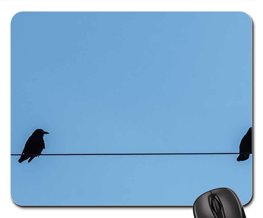 Mouse Pad - Stare Power Line Birds Persevere Animal Black