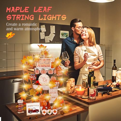 Harvest Fall Tiered Tray Decor with Lights - 19 Pcs Set Includes Gnome Signs, Leaves Garland, Pumpkin for Home Table