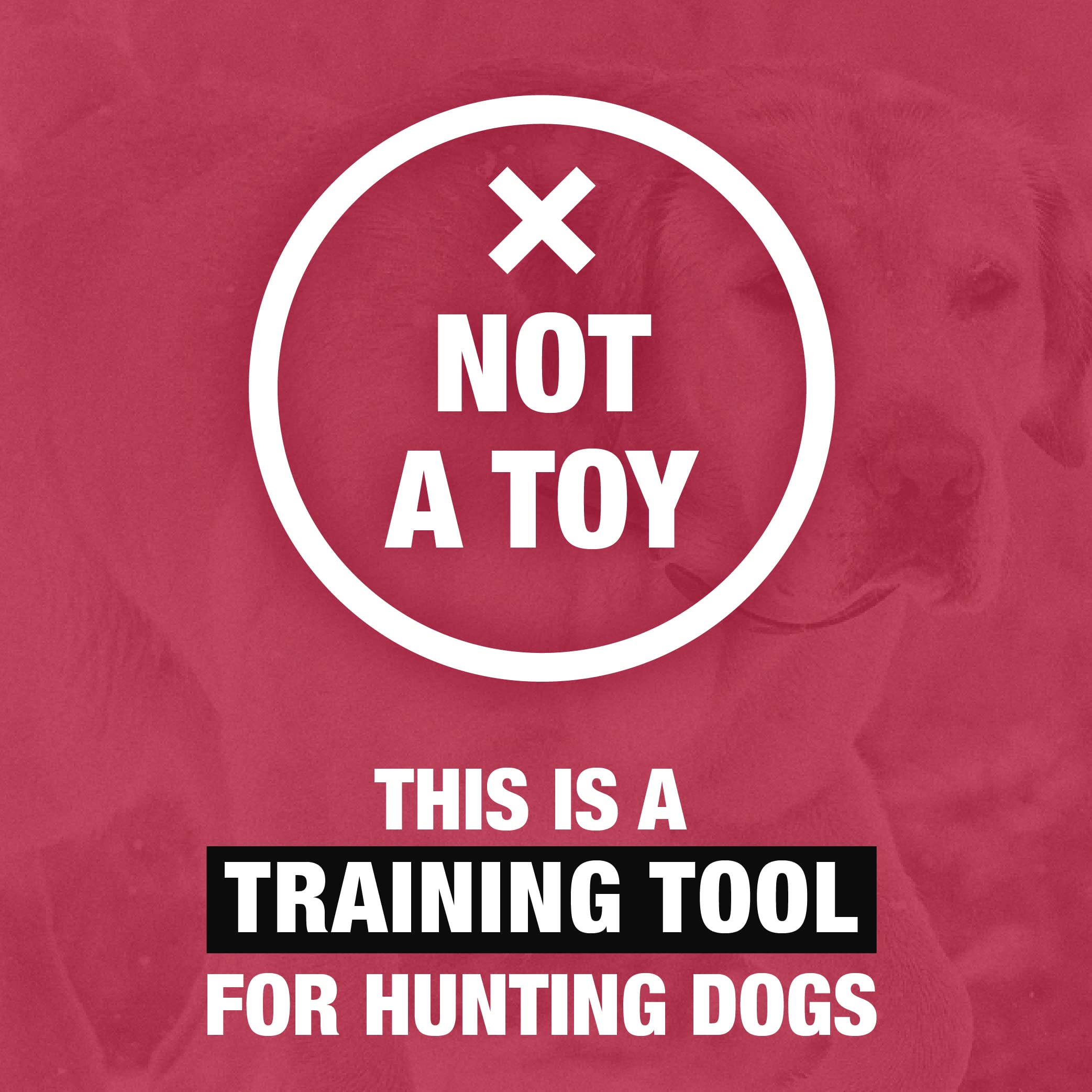 HUNTMARK Dog Bumpers – Standard Fetch Trainer for Hunting and Sporting Dogs – Puppy Training Dummy with Textured Pattern – Color-Spectrum Retrieving Bumpers – 12 x 2-inch – Blue and Yellow