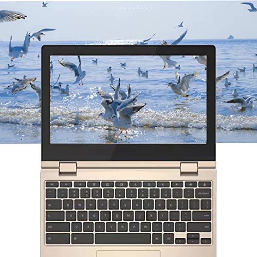 Lenovo Chromebook Flex 3 11.6" HD (1366 x 768) TouchScreen 2-in-1 Laptop, Intel Celeron N4020, 4GB DDR4, 64GB eMMC, Webcam, WiFi, Bluetooth, MicroSD Card Reader, Chrome Os, GCube 64GB Micro SD Card