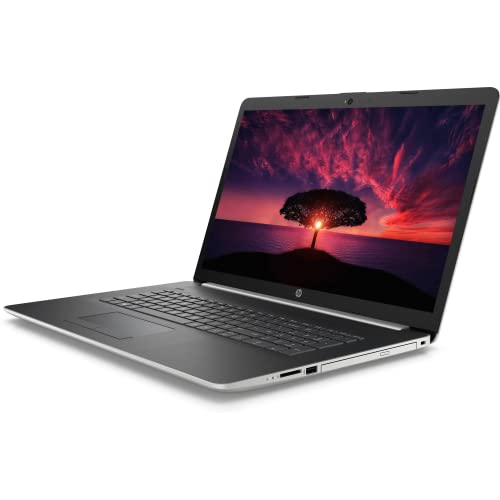 HP 17 Business Laptop Computer, AMD Ryzen 5 3500U, 17.3" FHD IPS Display, Windows 10 Pro, 12GB RAM 512GB SSD, AMD Radeon Vega 8 Graphics, Wi-Fi, HDMI, DVD-Writer, Silver, 32GB Durlyfish USB Card