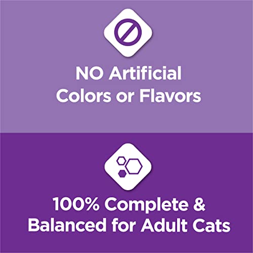 Purina Cat Chow Gentle Dry Cat Food, Sensitive Stomach + Skin - 13 lb. Bag