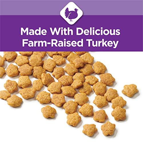 Purina Cat Chow Gentle Dry Cat Food, Sensitive Stomach + Skin - 13 lb. Bag