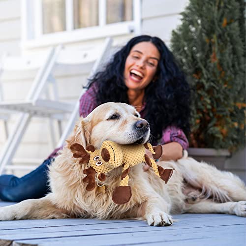 BUYPOW 5pack Dog Toys for Large Dog - Squeaky Medium & Small Dog Toys (Elk)