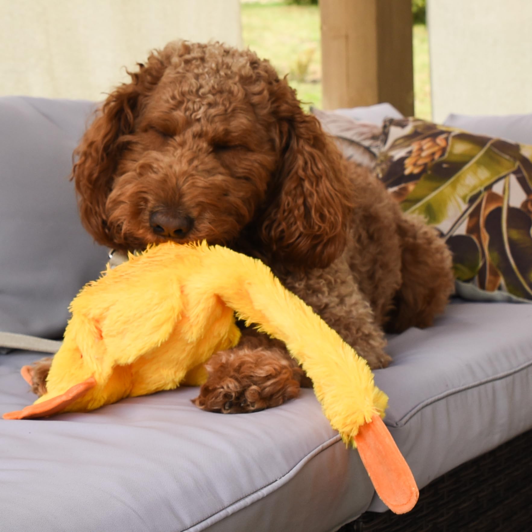 FGA MARKETPLACE Duck Flat NO Stuffing NO Squeak Plush Dog Toy, Funny Style Will Entertain Your Pet for Hours, Recommended for Small and Medium Dog 21 INCH Long