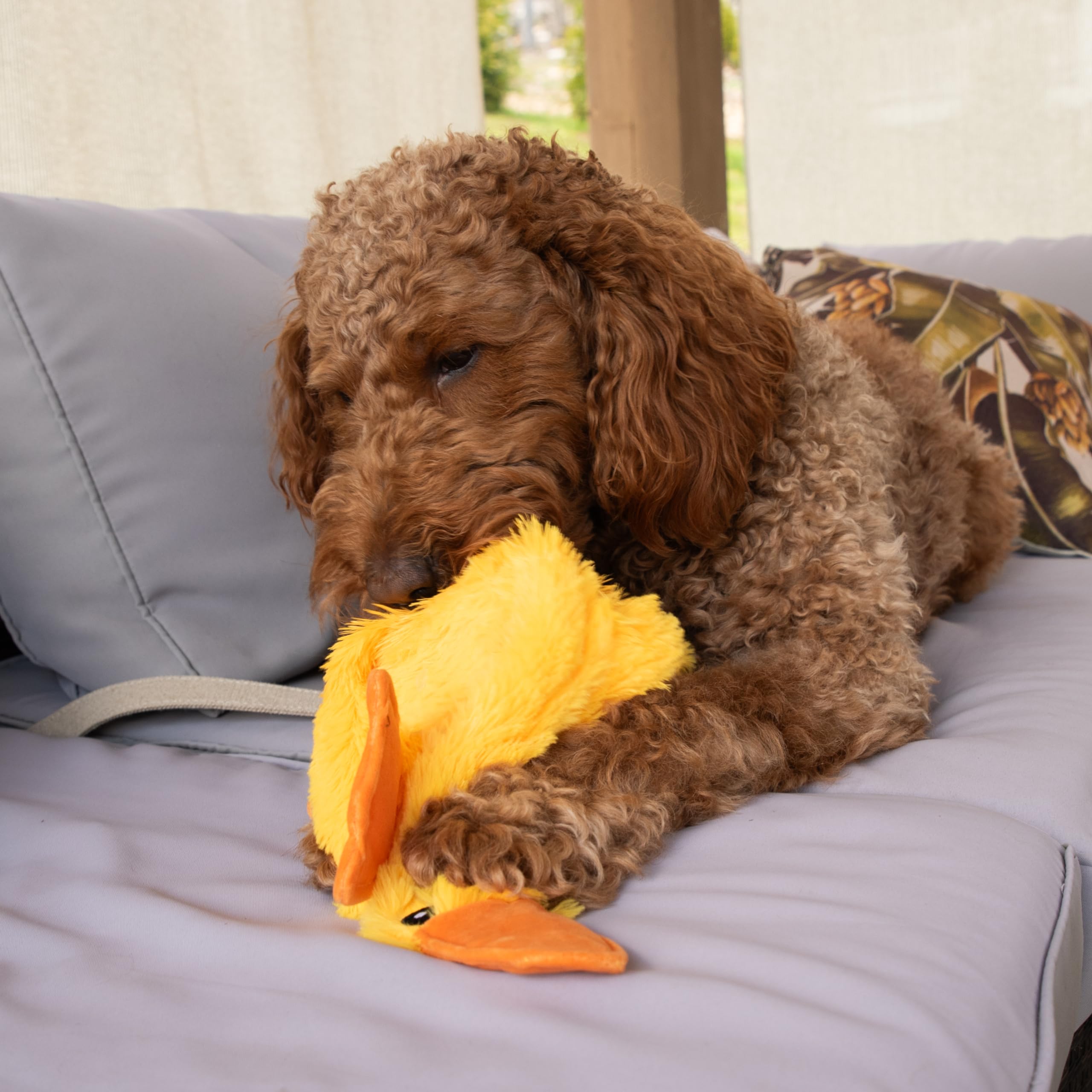 FGA MARKETPLACE Duck Flat NO Stuffing NO Squeak Plush Dog Toy, Funny Style Will Entertain Your Pet for Hours, Recommended for Small and Medium Dog 21 INCH Long
