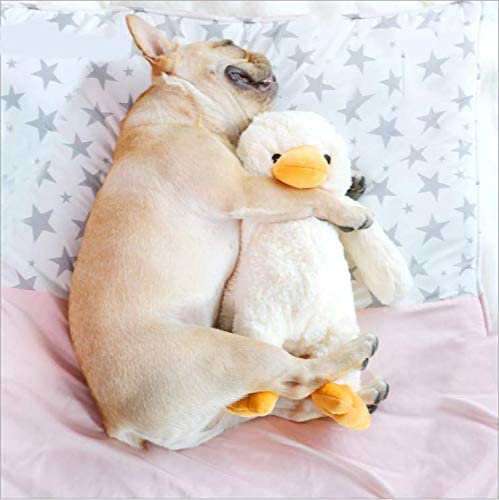 HOOPET Plush Duck Dog Toy - Large Squeaky Soft Pillow Snuggle Cuddle Puppy Toy for Big, Medium & Small Breed Dogs