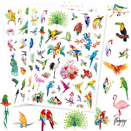 Watercolor Bird Stickers Party Favors 730 Counts Animal Jungle Woodland Tropical Birds Flamingo Parrot Stickers Gift Water Bottle Scrapbook Laptop Planner Stickers Kids Boys Girls Birthday Party