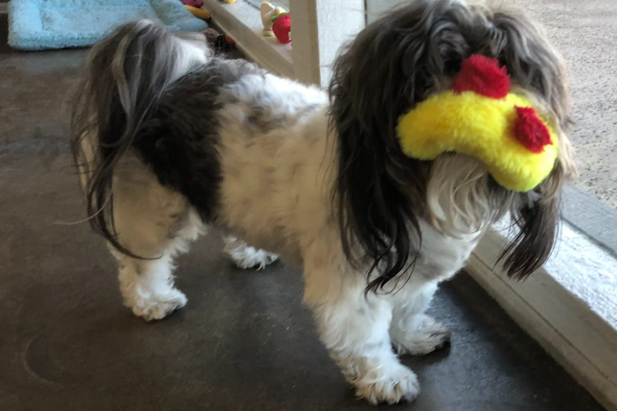 Glory To Dog TinyToy Plush Yellow Duck Very Small Unstuffed Dog Toy
