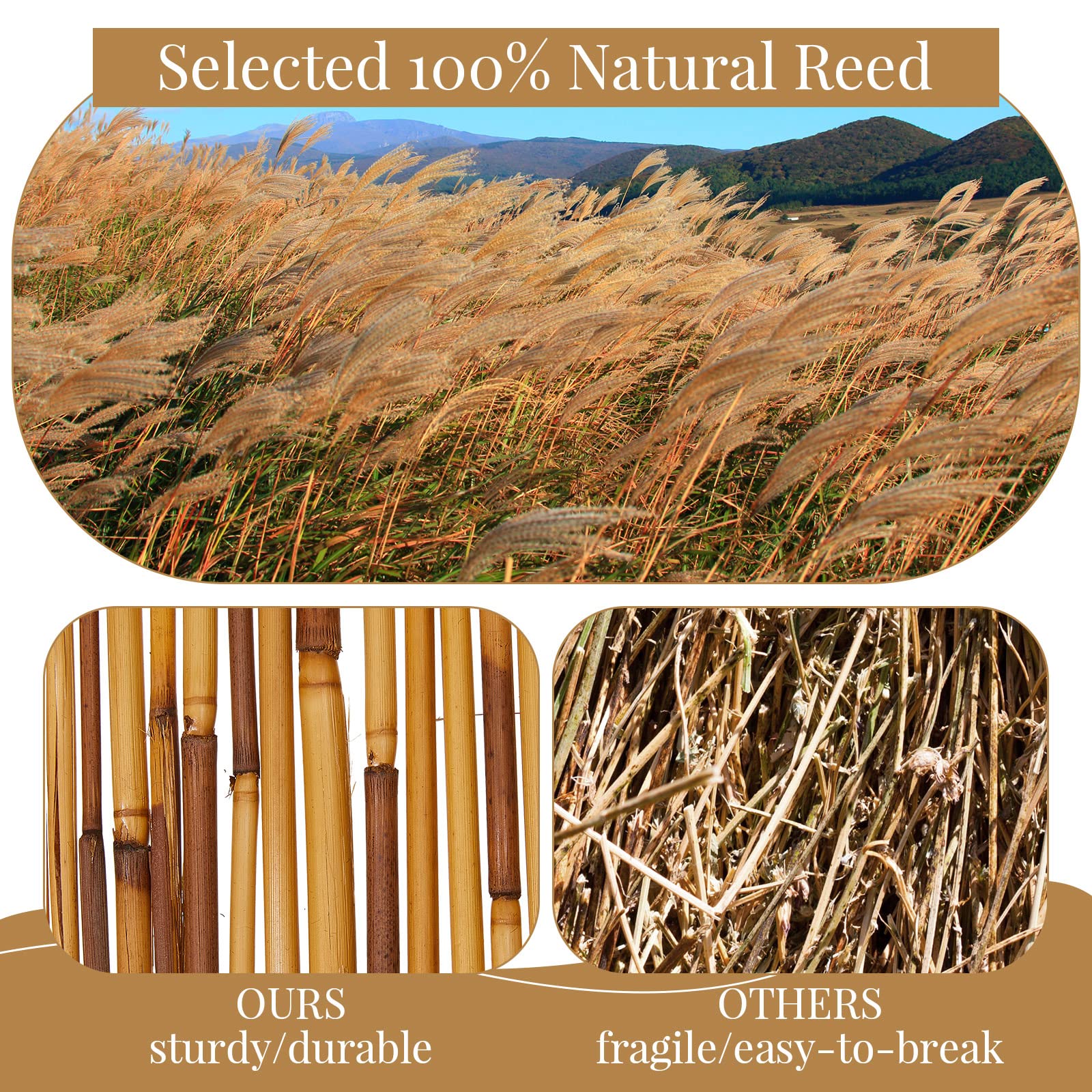 2 Pcs Natural Reed Bamboo Fencing Roll, Bamboo Privacy Screen 3.3 ft x 13.3 ft and 200 Pcs Nylon Black Cable Ties Cord for Garden Balcony Window Indoor Outdoor(Dark Brown)