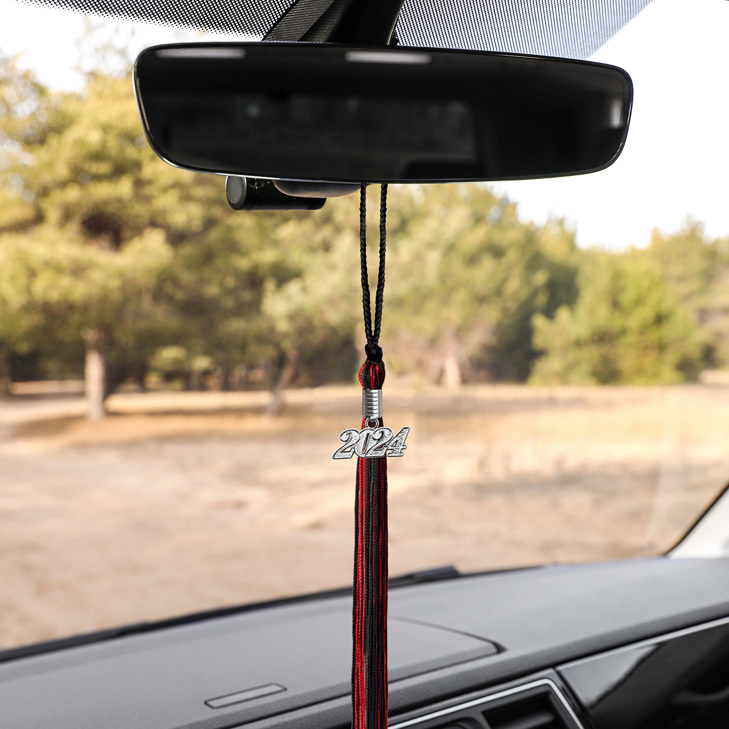 Endea Graduation Mixed Double Color Tassel with Silver Date Drop (Black/Red, 2024)