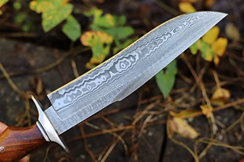 kaswah Handmade Damascus Steel Hunting Knife with Hand Stitched Leather Sheath - 14" Fixed Blade Knife with Solid Rosewood Wood Handle - EDC Survival Knife for Men