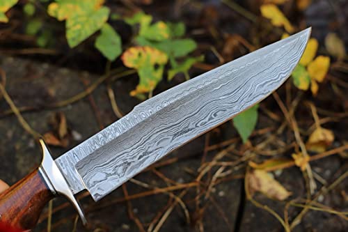 kaswah Handmade Damascus Steel Hunting Knife with Hand Stitched Leather Sheath - 14" Fixed Blade Knife with Solid Rosewood Wood Handle - EDC Survival Knife for Men